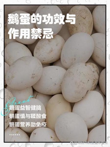 吃鹅蛋有什么好处和功效_孕妇能吃鹅蛋去胎毒吗-第2张图片-山城妙识
