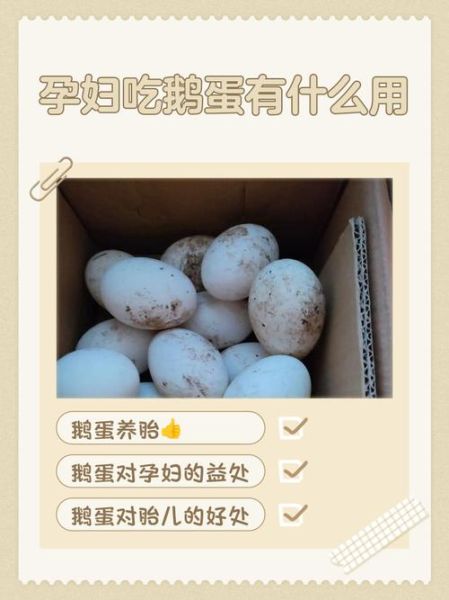 吃鹅蛋有什么好处和功效_孕妇能吃鹅蛋去胎毒吗-第1张图片-山城妙识