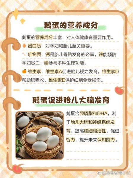 吃鹅蛋有什么好处和功效_孕妇能吃鹅蛋去胎毒吗-第3张图片-山城妙识