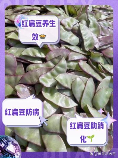 红小扁豆的功效与作用_红小扁豆的禁忌有哪些-第2张图片-山城妙识 红小扁豆的功效与作用_红小扁豆的禁忌有哪些-第2张图片-山城妙识