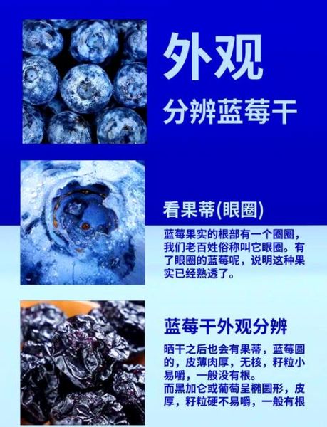 蓝莓干怎么做_蓝莓干制作常见问题-第1张图片-山城妙识