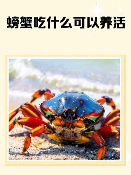 淡水螃蟹怎么养_淡水螃蟹吃什么食物-第2张图片-山城妙识