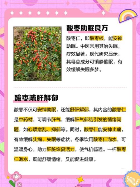 酸枣的营养价值_酸枣的功效与作用有哪些-第2张图片-山城妙识