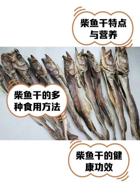 柴鱼有什么功效_柴鱼干怎么煲汤最营养-第1张图片-山城妙识