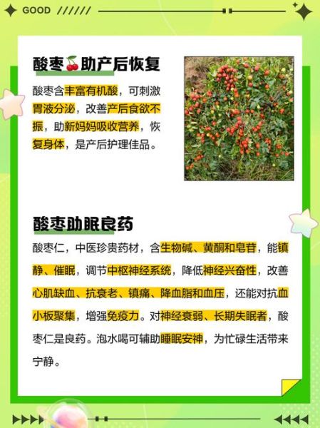 酸枣的营养价值_酸枣的功效与作用有哪些-第3张图片-山城妙识