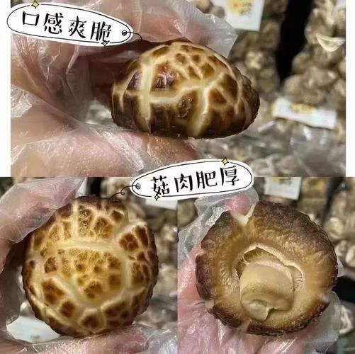 大花菇的功效与作用_大花菇怎么吃最营养-第1张图片-山城妙识