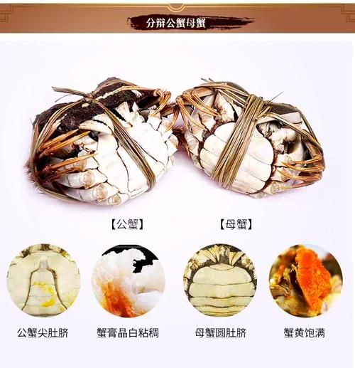 蟹膏蟹黄是什么部位_蟹黄和蟹膏的区别-第3张图片-山城妙识 蟹膏蟹黄是什么部位_蟹黄和蟹膏的区别-第3张图片-山城妙识