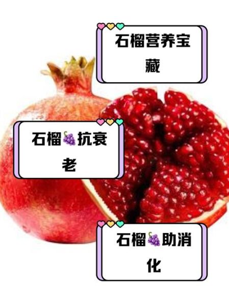 石榴子的好处有哪些_石榴子怎么吃最营养-第2张图片-山城妙识 石榴子的好处有哪些_石榴子怎么吃最营养-第2张图片-山城妙识