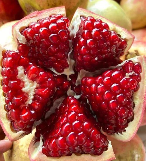 石榴子的好处有哪些_石榴子怎么吃最营养-第3张图片-山城妙识 石榴子的好处有哪些_石榴子怎么吃最营养-第3张图片-山城妙识