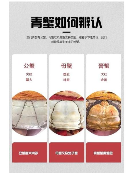 三门青蟹死了多久不能吃_如何判断是否变质-第1张图片-山城妙识