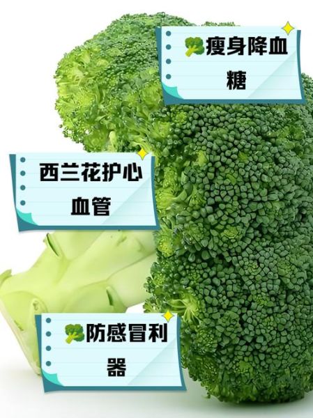 西兰花的功效与作用及禁忌_哪些人不能吃-第2张图片-山城妙识