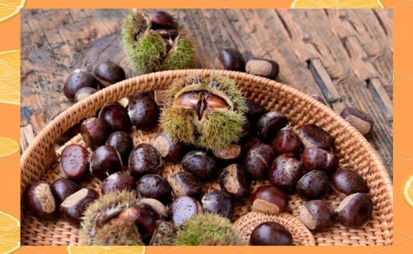 云南板栗头好吃吗_云南板栗头多少钱一斤-第3张图片-山城妙识 云南板栗头好吃吗_云南板栗头多少钱一斤-第3张图片-山城妙识