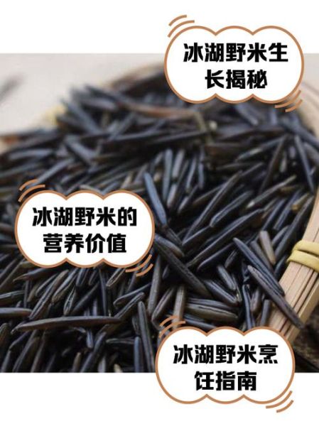 野米的功效与作用_野米怎么吃最好-第3张图片-山城妙识 野米的功效与作用_野米怎么吃最好-第3张图片-山城妙识