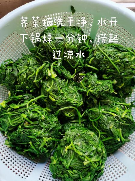 荠菜饺子馅怎么调才好吃_荠菜饺子馅调制的秘诀-第2张图片-山城妙识