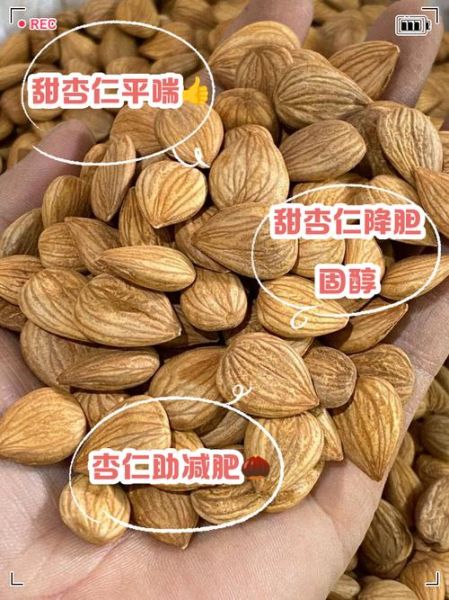 甜杏仁的功效与作用_甜杏仁怎么吃最好-第1张图片-山城妙识 甜杏仁的功效与作用_甜杏仁怎么吃最好-第1张图片-山城妙识