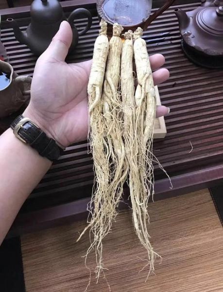 白干参的功效与作用_白干参怎么吃效果最好-第3张图片-山城妙识
