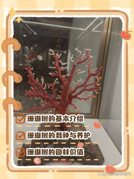 珊瑚树怎么养_珊瑚树有毒吗-第2张图片-山城妙识