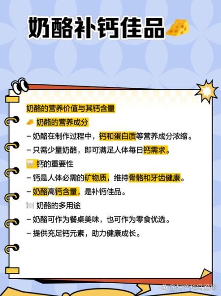 奶酪的营养价值及功效_奶酪补钙效果好吗-第1张图片-山城妙识