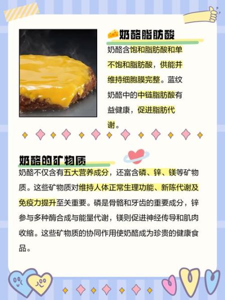 奶酪的营养价值及功效_奶酪补钙效果好吗-第3张图片-山城妙识