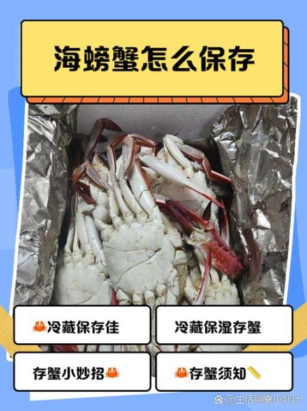 螃蟹怎么保存能活几天_活螃蟹冷藏还是冷冻-第3张图片-山城妙识