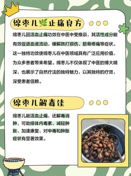 枣糕下野病弃疗是什么_枣糕下野病弃疗怎么治-第3张图片-山城妙识 枣糕下野病弃疗是什么_枣糕下野病弃疗怎么治-第3张图片-山城妙识