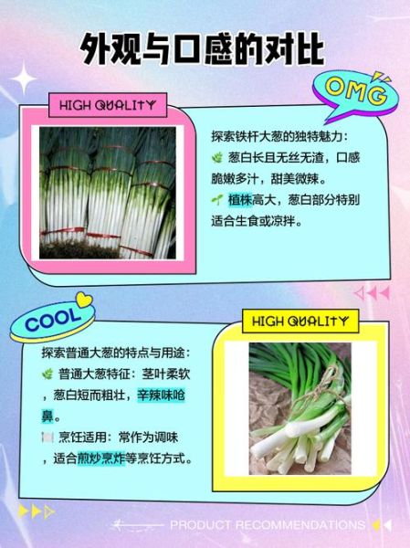 葱的品种图片大全_如何区分常见葱类-第2张图片-山城妙识 葱的品种图片大全_如何区分常见葱类-第2张图片-山城妙识