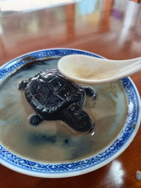 龟苓膏原料有哪些_正宗龟苓膏配方比例-第3张图片-山城妙识 龟苓膏原料有哪些_正宗龟苓膏配方比例-第3张图片-山城妙识