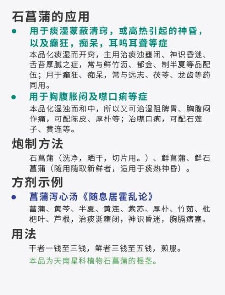 记忆力减退吃什么中药_远志石菖蒲怎么服用-第1张图片-山城妙识 记忆力减退吃什么中药_远志石菖蒲怎么服用-第1张图片-山城妙识