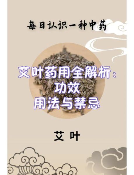 艾叶外用功效与作用_艾叶外用怎么用最有效-第3张图片-山城妙识