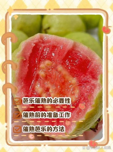 芭乐app下载网站进入_芭乐app安全吗-第3张图片-山城妙识 芭乐app下载网站进入_芭乐app安全吗-第3张图片-山城妙识