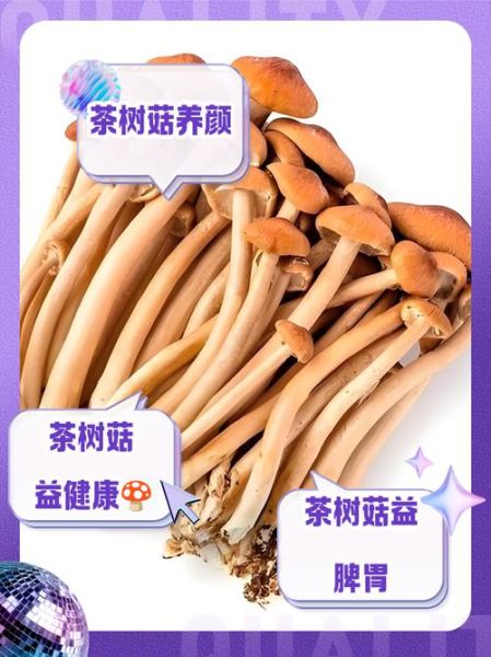 茶树菇什么人不能吃_茶树菇禁忌人群有哪些-第3张图片-山城妙识 茶树菇什么人不能吃_茶树菇禁忌人群有哪些-第3张图片-山城妙识