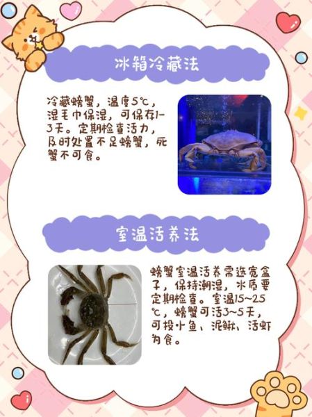 活螃蟹怎么保存_活螃蟹怎么吃法-第1张图片-山城妙识