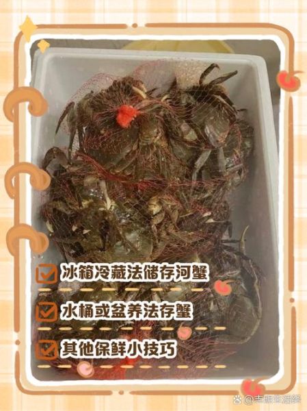 活螃蟹怎么保存_活螃蟹怎么吃法-第2张图片-山城妙识