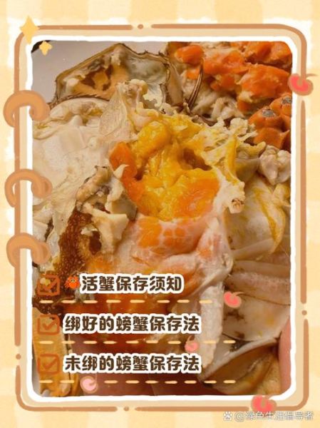 活螃蟹怎么保存_活螃蟹怎么吃法-第3张图片-山城妙识
