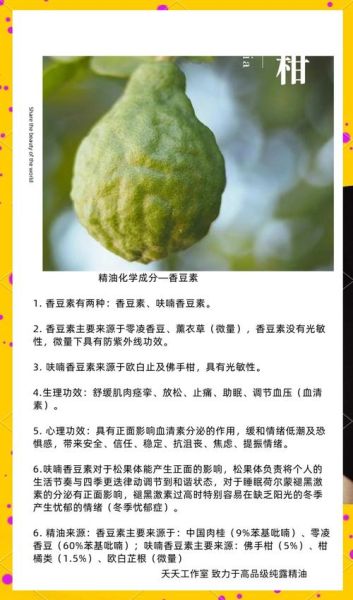 佛手柑精油的功效与作用_佛手柑精油怎么用-第2张图片-山城妙识