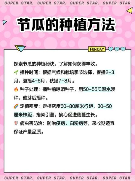 节瓜种子怎么种_节瓜种子发芽时间-第2张图片-山城妙识