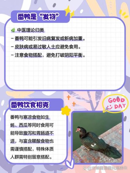 土番鸭图片_如何区分土番鸭与普通鸭-第2张图片-山城妙识