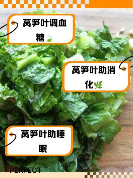 莴苣叶有毒吗_科学依据-第1张图片-山城妙识 莴苣叶有毒吗_科学依据-第1张图片-山城妙识