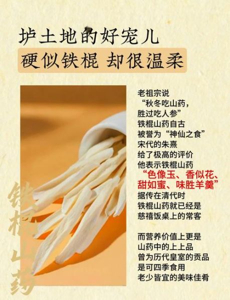 毛山药和铁棍山药哪个营养高_区别与功效对比-第2张图片-山城妙识