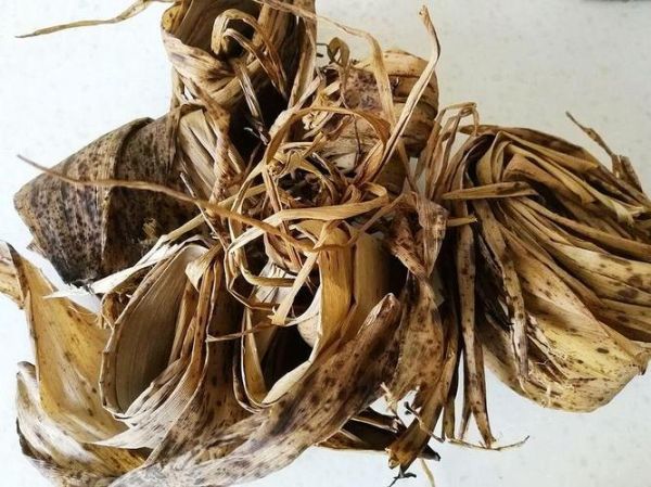 粽子叶是什么垃圾_粽子叶属于干垃圾还是湿垃圾-第3张图片-山城妙识