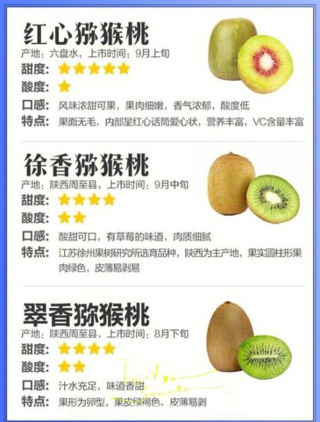 猕猴桃的药用价值_猕猴桃有哪些功效-第2张图片-山城妙识