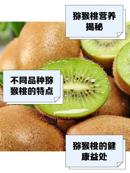 弥猕猴桃的功效与作用_弥猕猴桃怎么吃最有营养-第2张图片-山城妙识