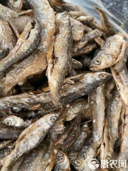 淡水小鱼干怎么做好吃_淡水小鱼干的家常做法-第2张图片-山城妙识