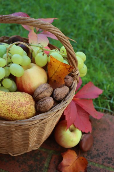 秋天有什么水果丰收_秋季应季水果有哪些-第2张图片-山城妙识