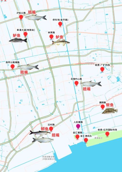 上海钓鱼网_哪里能免费野钓-第3张图片-山城妙识 上海钓鱼网_哪里能免费野钓-第3张图片-山城妙识