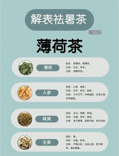 薄荷的功效与作用及禁忌是什么_薄荷泡水喝的正确方法-第1张图片-山城妙识