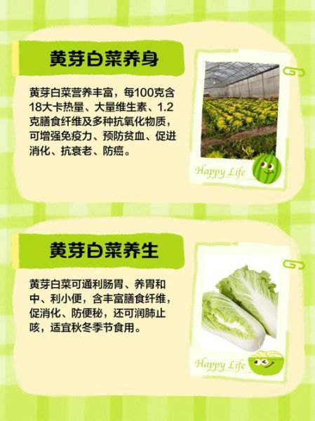 小黄白菜怎么炒好吃_小黄白菜的营养价值-第1张图片-山城妙识