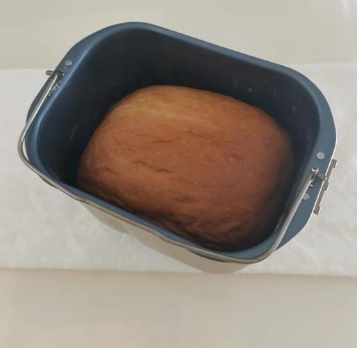 aca面包机食谱电子版哪里下载_新手如何用aca面包机做面包-第2张图片-山城妙识