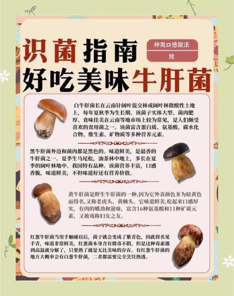牛肝菌怎么吃_牛肝菌中毒怎么避免-第1张图片-山城妙识