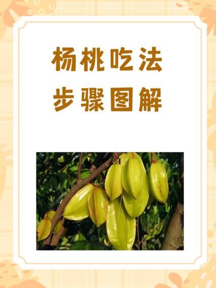 杨桃怎么吃最方便_杨桃要不要削皮-第1张图片-山城妙识 杨桃怎么吃最方便_杨桃要不要削皮-第1张图片-山城妙识